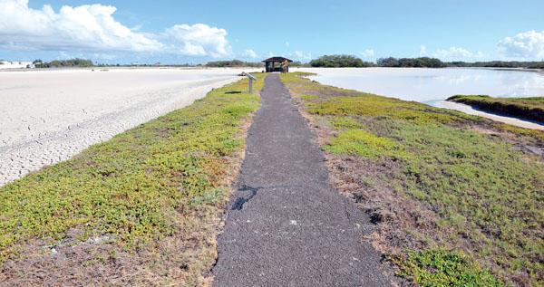Parched Kanaha Pond | News, Sports, Jobs - Maui News